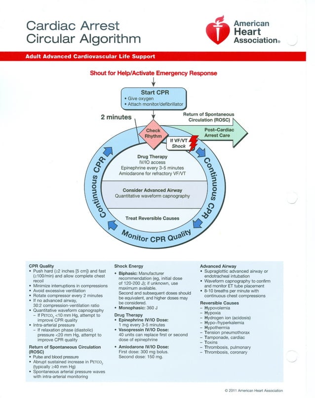 Acls algorithms | PDF