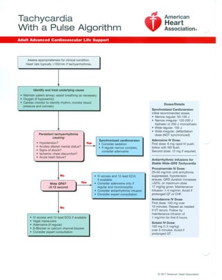 Acls algorithms | PDF