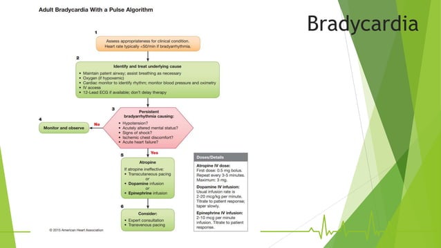 ACLS Algoritma (2).pptx