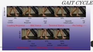 changes in gait pattern after injury and rehabilitation of the Anterior ...