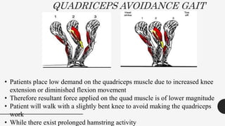 changes in gait pattern after injury and rehabilitation of the Anterior ...