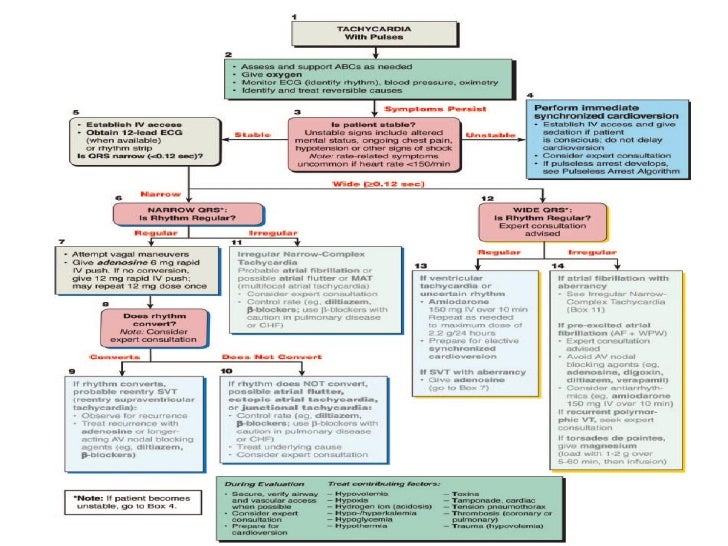 Updates in ACLS 2005
