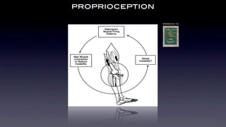 Proprioception after ACL injury | KEY | Physical Therapy | Wellness