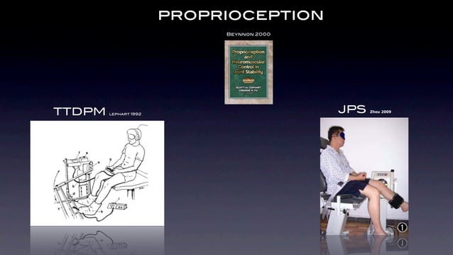 Proprioception after ACL injury | PPT