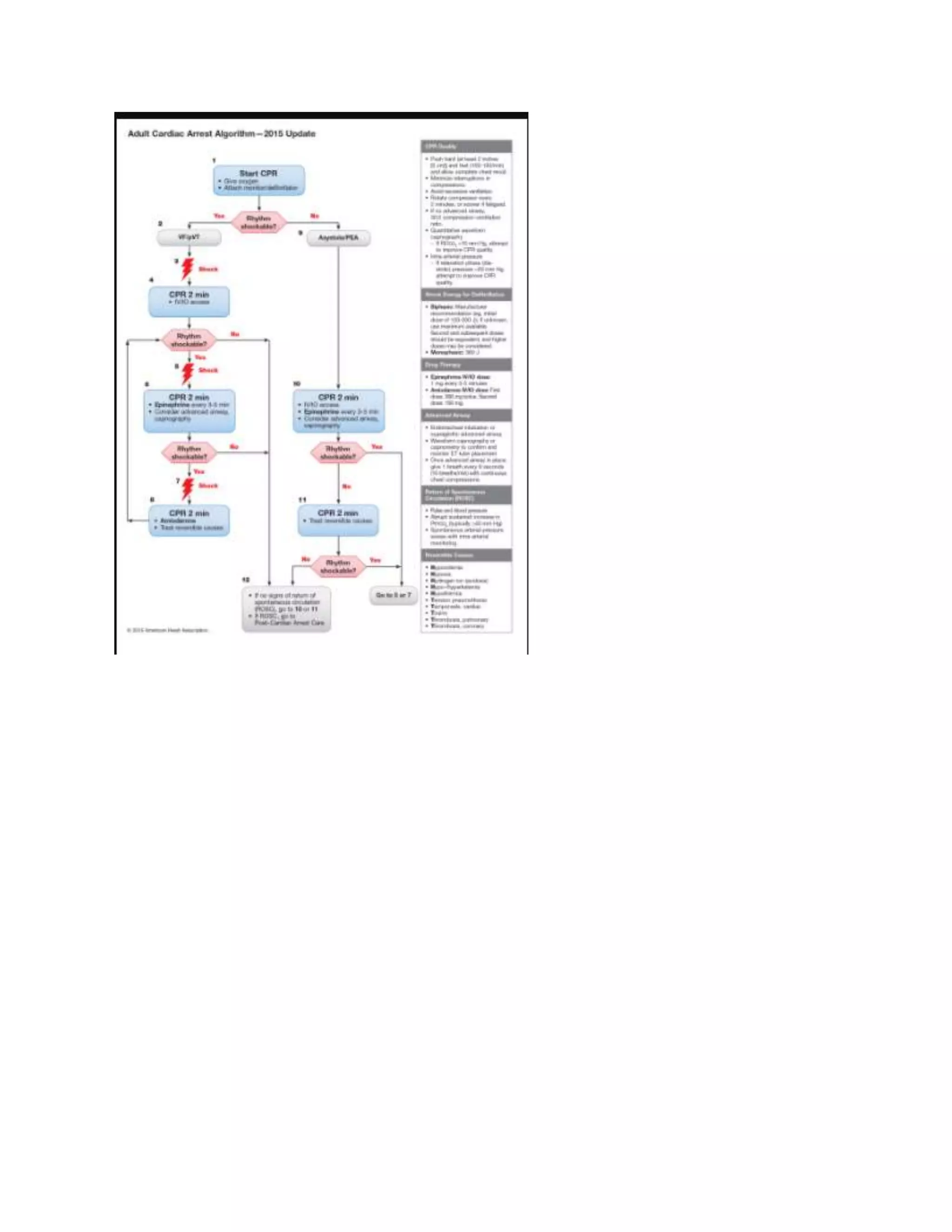 Acls guidelines for brady cardia and tachycardia | DOCX