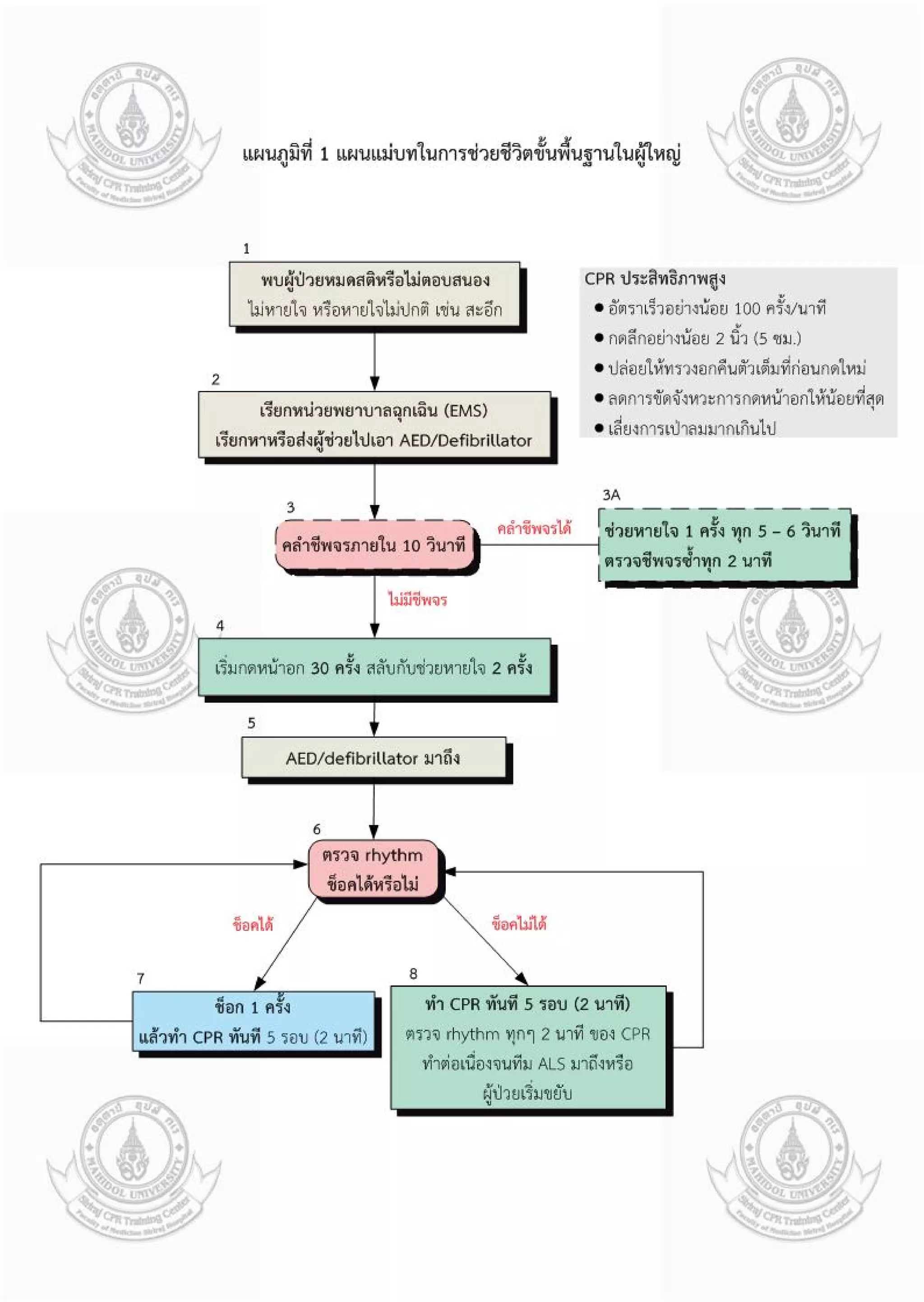 ACLS Thai | PDF