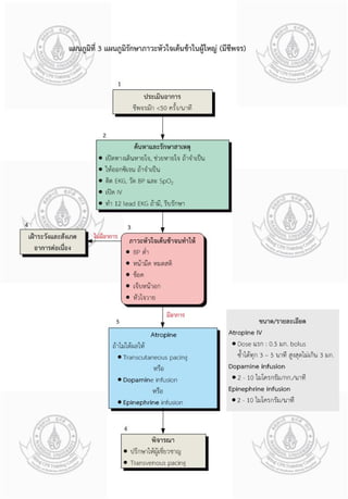 ACLS Thai | PDF