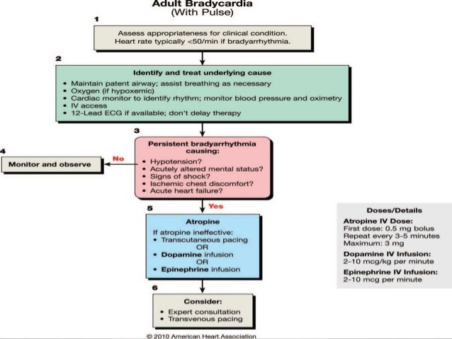 Acls update class 2015