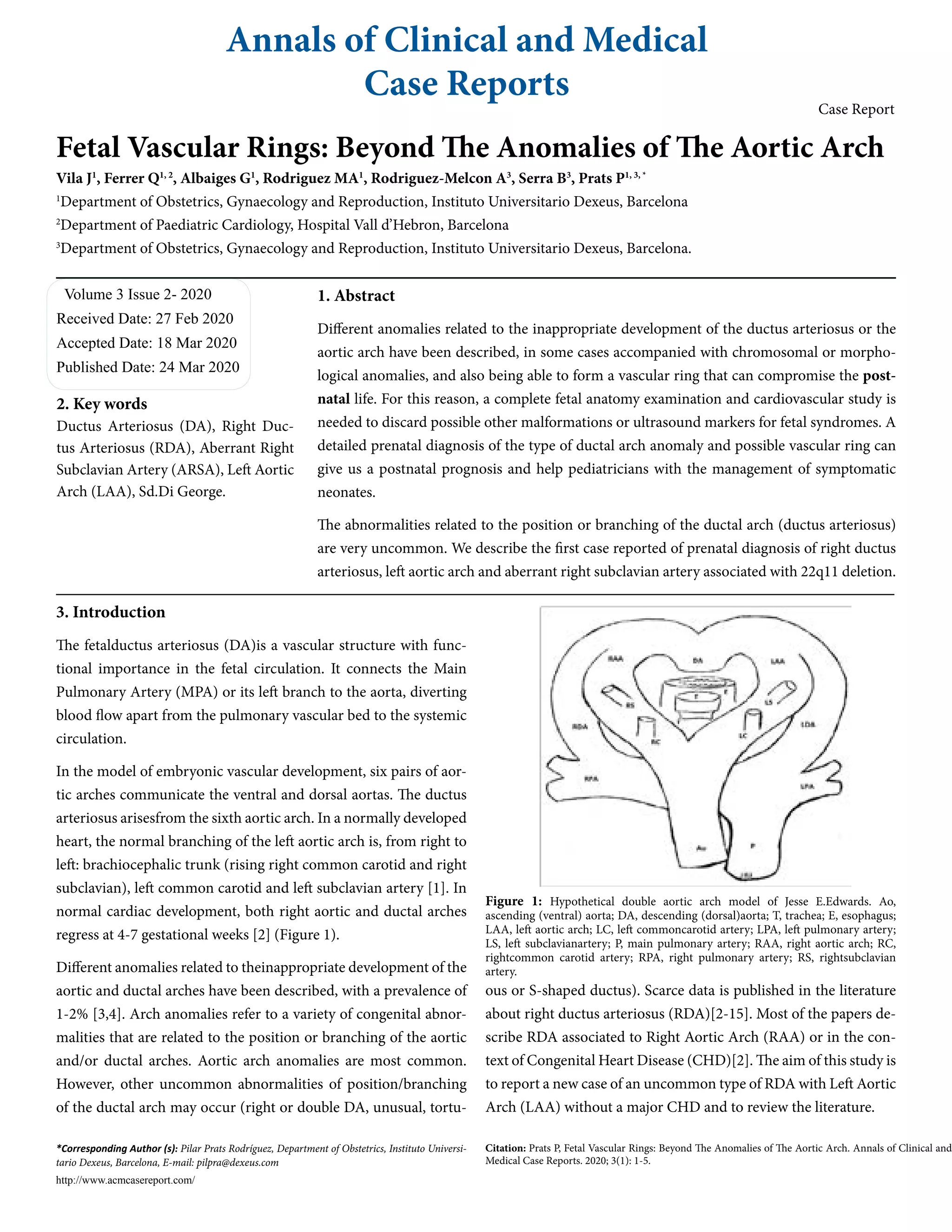Fetal Vascular Rings: Beyond The Anomalies of The Aortic Arch | PDF