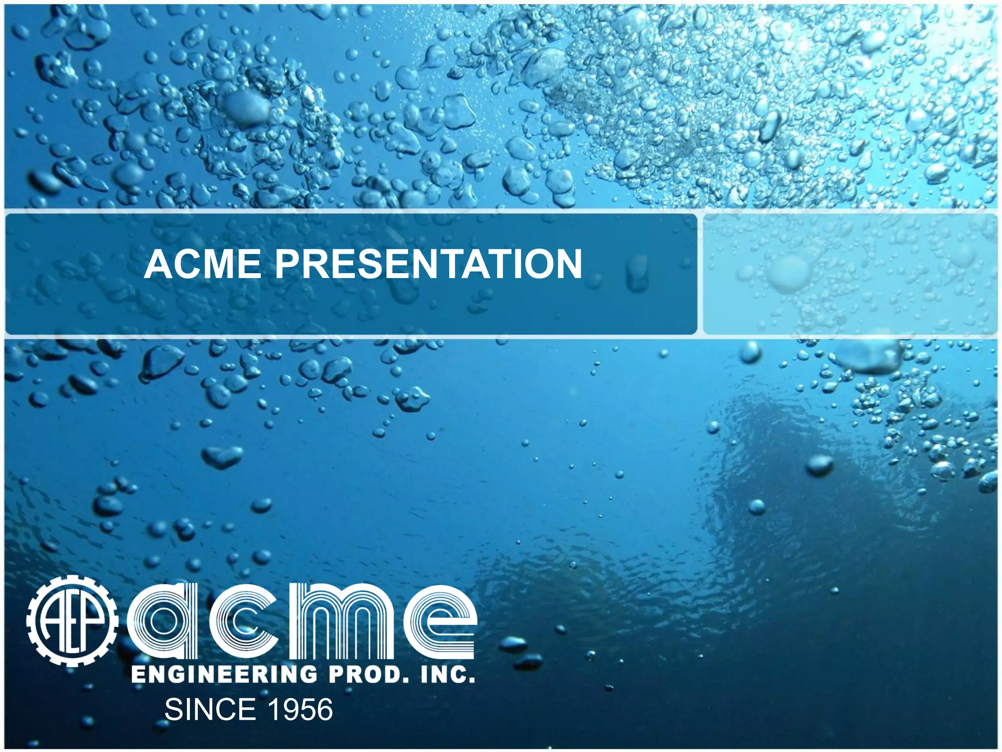 Acme Group of Companies Manufacturing Capabilities | PPT