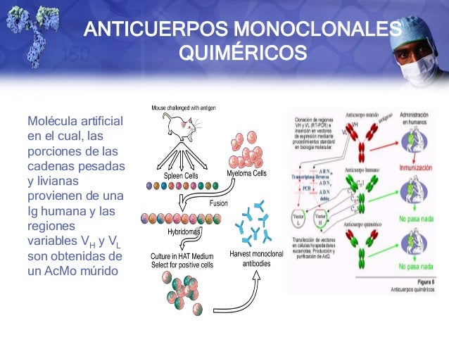 Anticuerpos Monoclonales