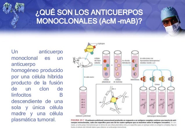 Anticuerpos Monoclonales