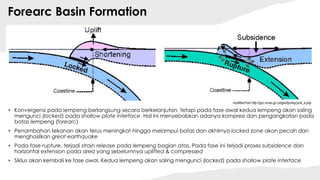 ACM Forearc Basin.pdf