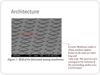 A cmos capacitive pressure sensor chip for finger | PPT