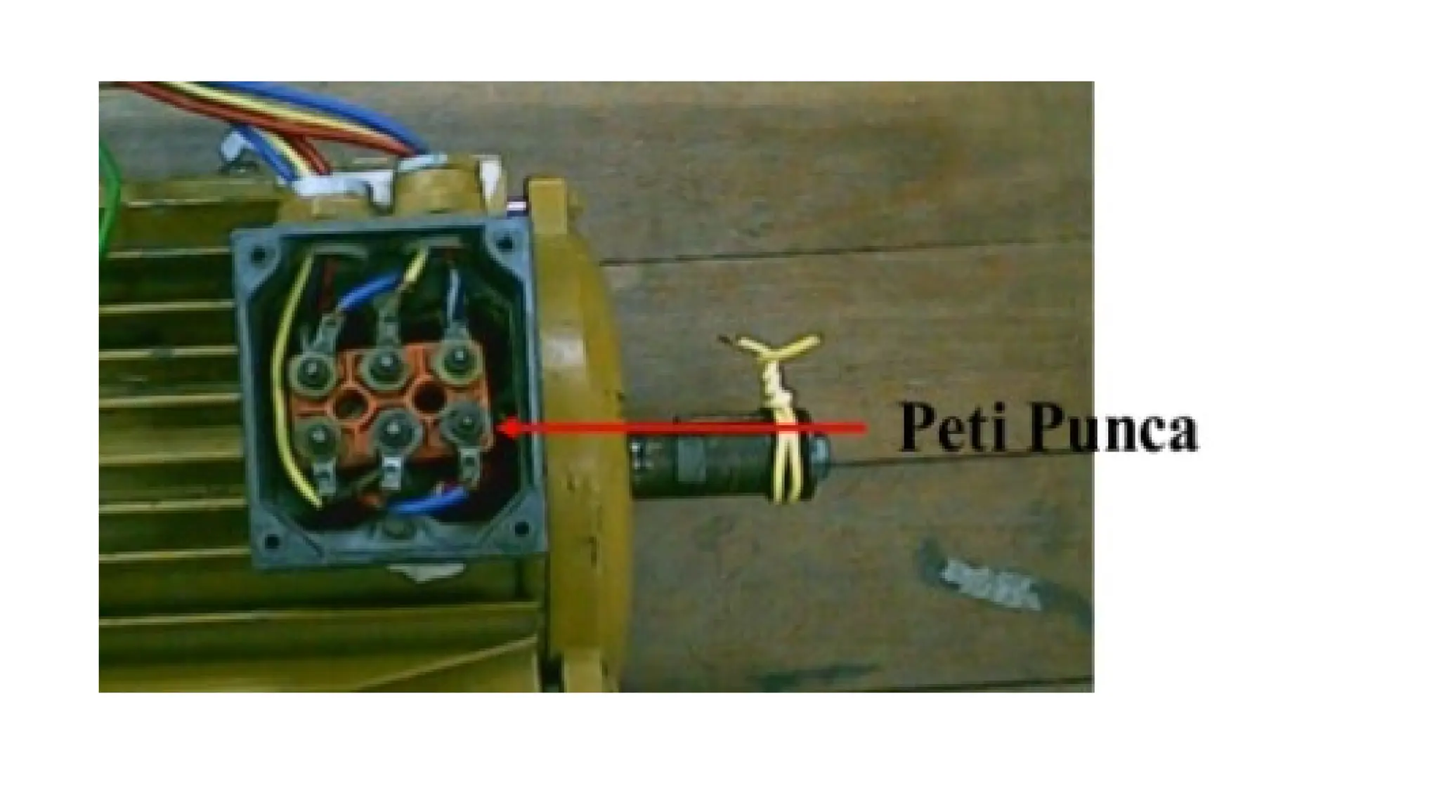 SINGLE PHASE ALTERNATING CURRENT MOTOR.pptx