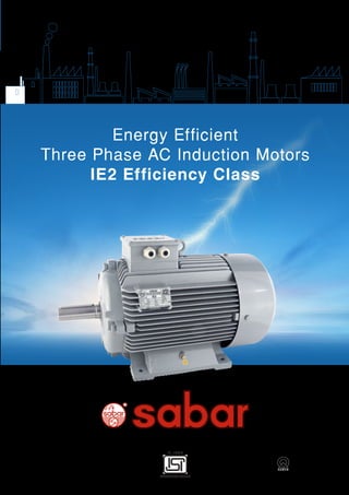 Electric Motors By Sabar Engineering Private Limited | PDF