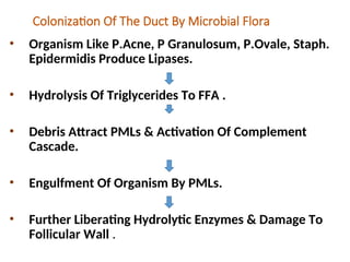 Etiology and Pathology Of Acne Vulgaris.ppt