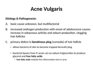Acne and Disorders of Sebaceous Glands and Hair Clinical Pathology ...