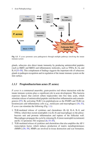 Acneiform Eruptions in Dermatology_ A Differential Diagnosis. 2014.pdf