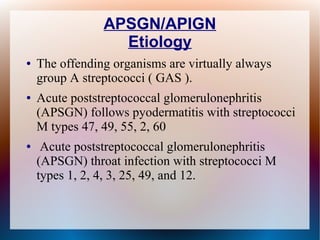 Ac nephritic synd | ODP | Blood Disorders | Diseases and Conditions