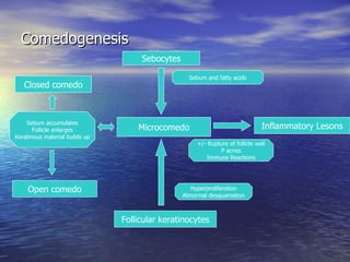 Managing Acne & Acne Scarring - Clearskincare | PPT