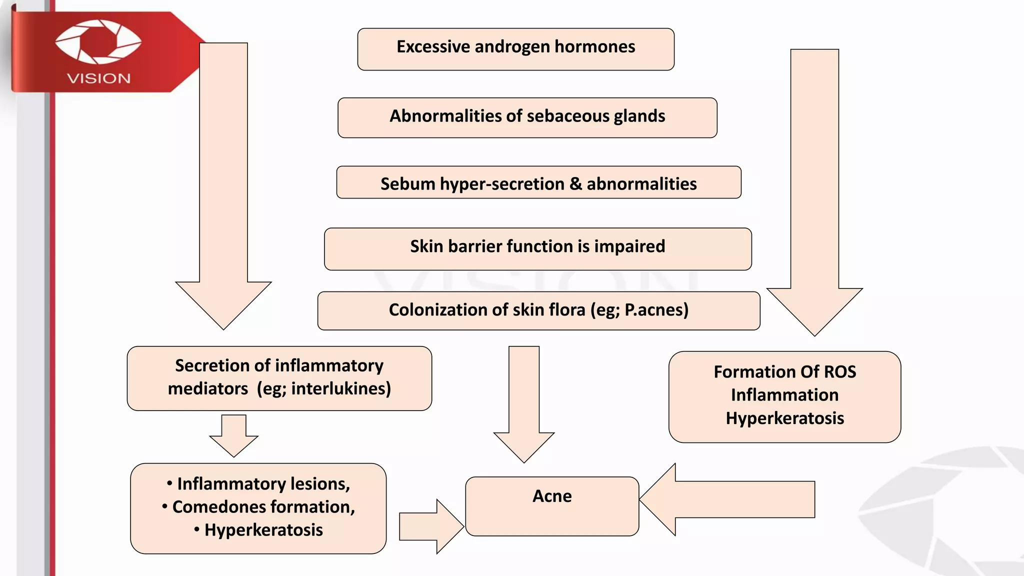 Acne-prone skin & oily skin | PPTX