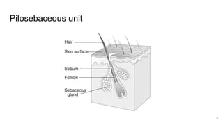 Acne vulgaris.pptx.pdf