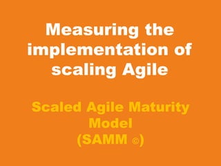 Acnl2015 brian teunissen 2015 scaled agile maturity model | PPT