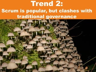 Acnl2015 brian teunissen 2015 scaled agile maturity model | PPT