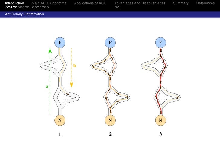 Ant Colony Optimization