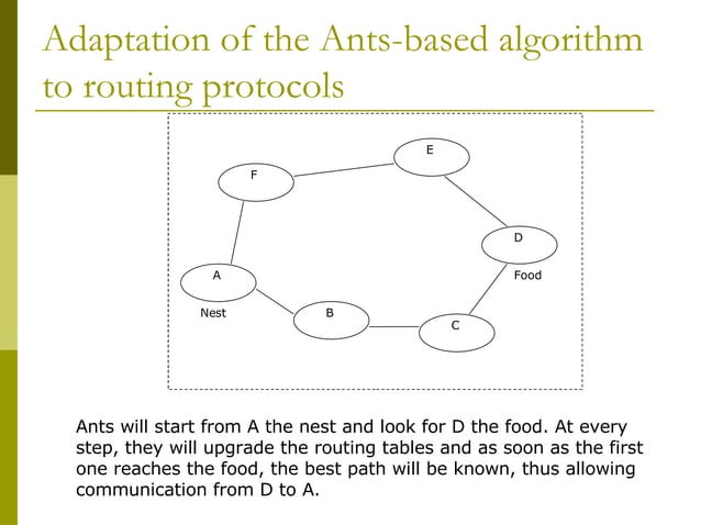 Ant Colony Algorithm
