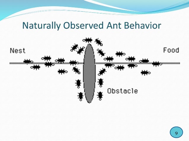 Ant Colony Optimization For Load Balancing In Cloud