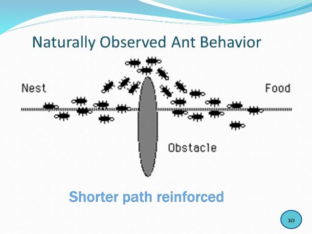 Ant Colony Optimization For Load Balancing In Cloud