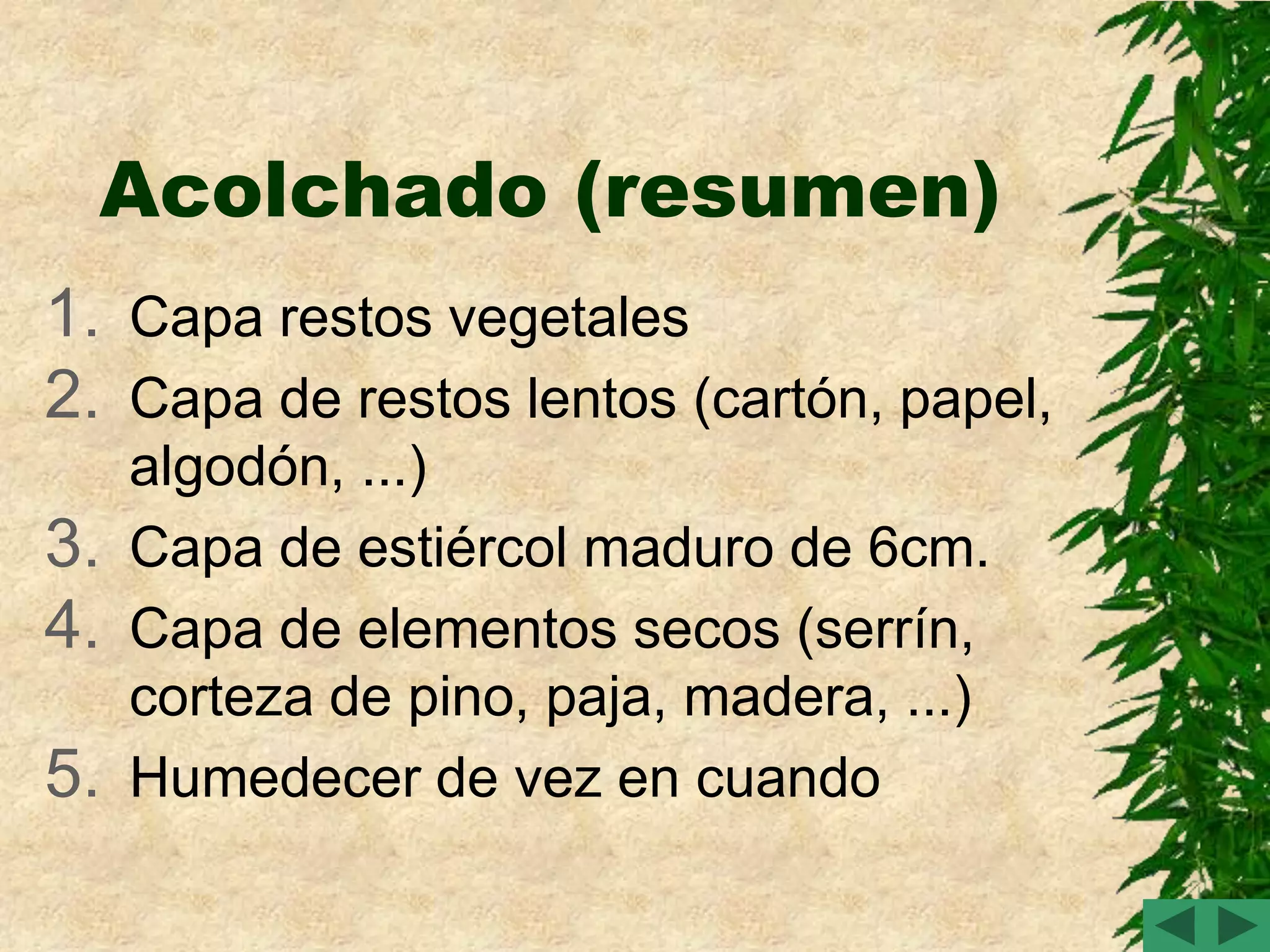 Acolchado | PPTX