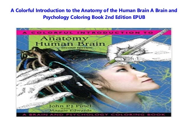A Colorful Introduction to the Anatomy of the Human Brain A Brain and ...