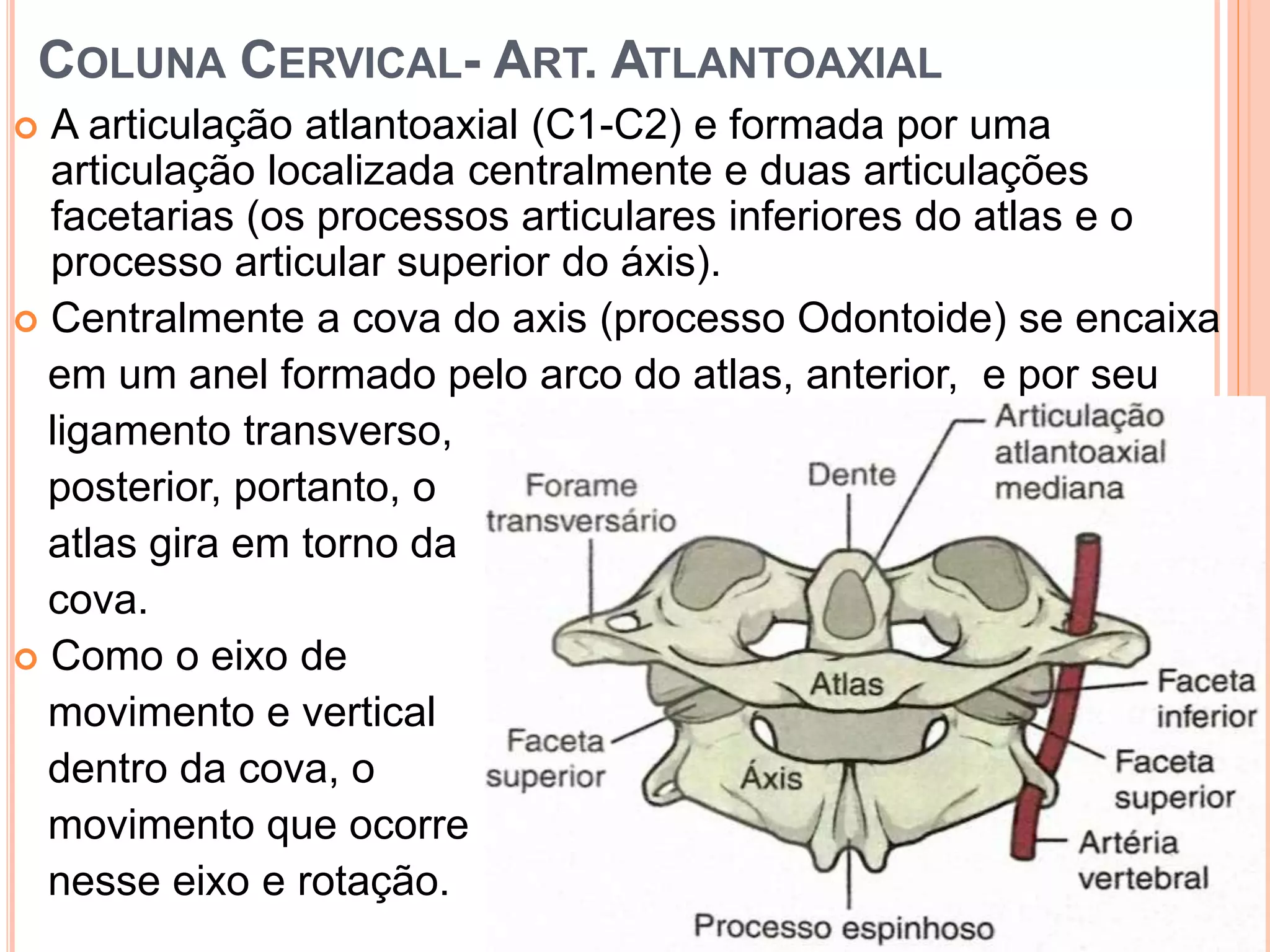 A coluna cervical | PPT