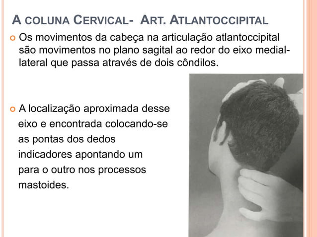 A coluna cervical | PPT