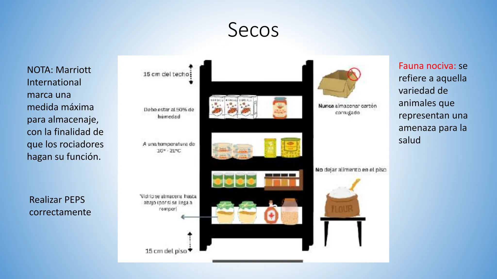 Acomodo de racks dentro de un restaurante u hotel | PPT