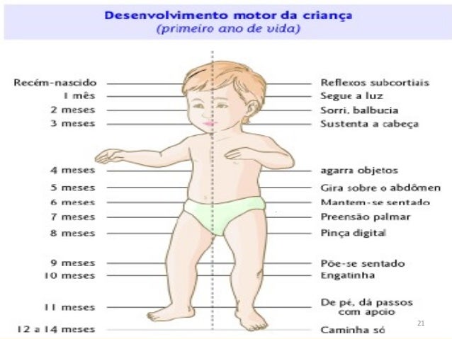 Acompanhamento Do Crescimento E Desenvolvimento Da Criança