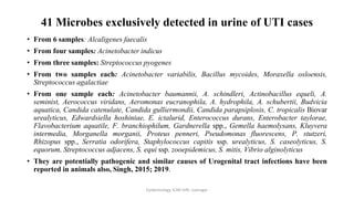 A comparative study on uroculturome antimicrobial susceptibility in ...