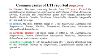A comparative study on uroculturome antimicrobial susceptibility in ...