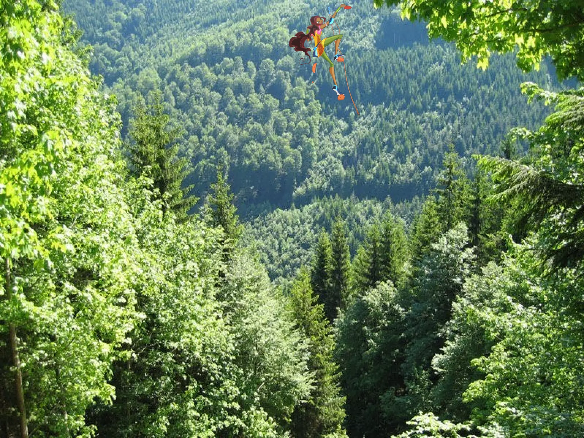 A comparison of rock climbing styles | PPT