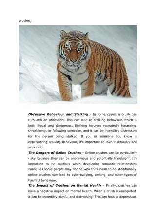 A Comperehensive Guide to Crush.pdf