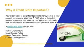 A Complete Guide On Cibil Score: Everything You Need To Know.pdf