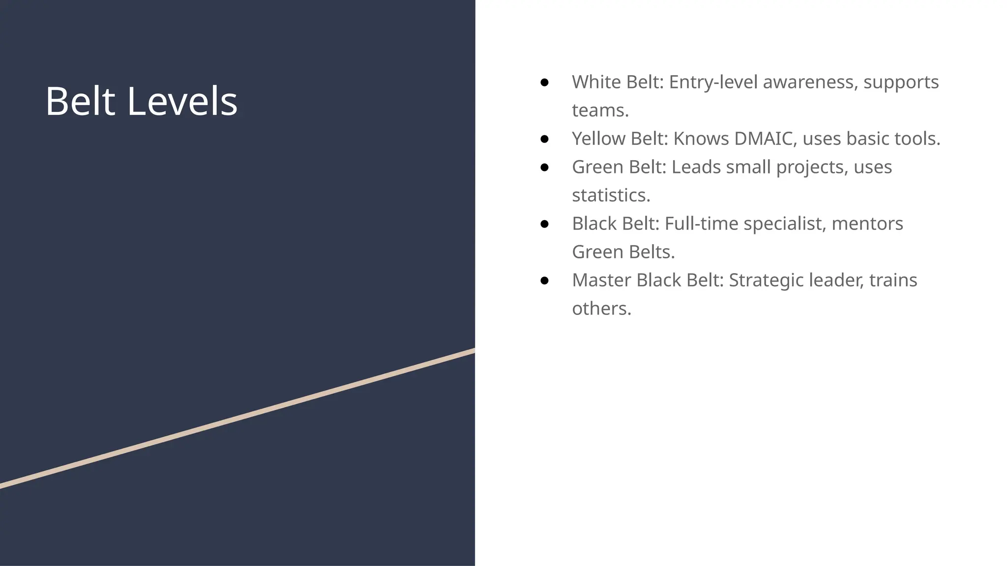 A Complete Overview of DMAIC and the Six Sigma Belt Levels.pptx