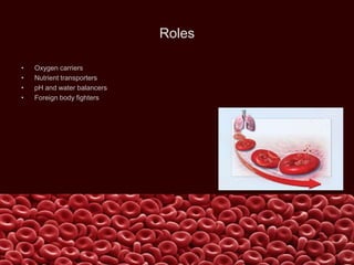 A complication and a solution | PPSX | Pregnancy | Reproductive Health