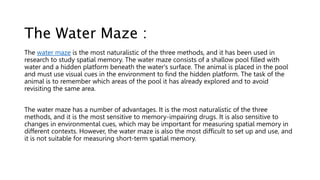 A Comprehensive Comparison of Radial Arm Maze, Y Maze, and Water Maze ...