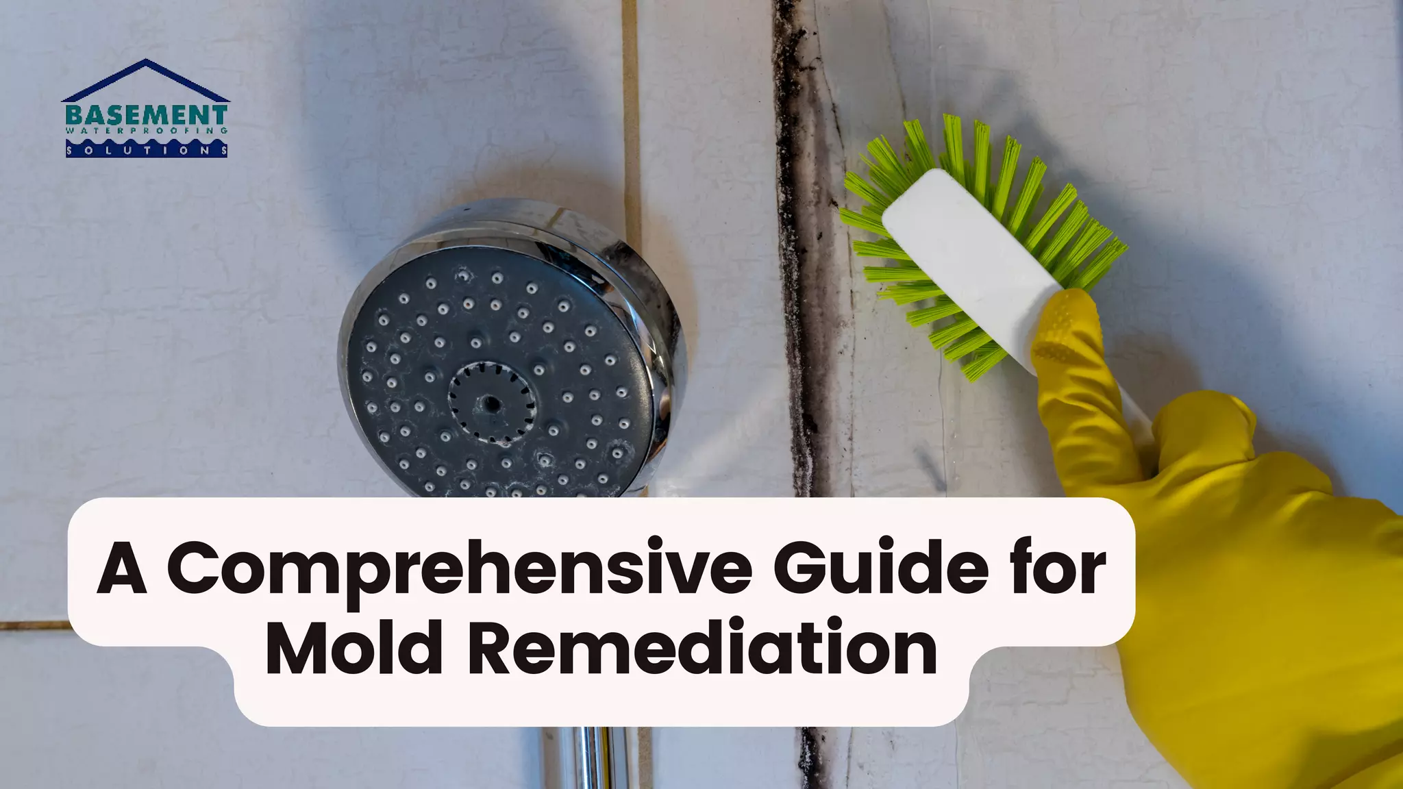 Mold Remediation Makes Your Home Healthier | PPT