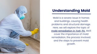 Mold Remediation Makes Your Home Healthier | PPT