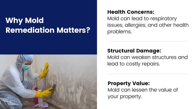 Mold Remediation Makes Your Home Healthier | PPT